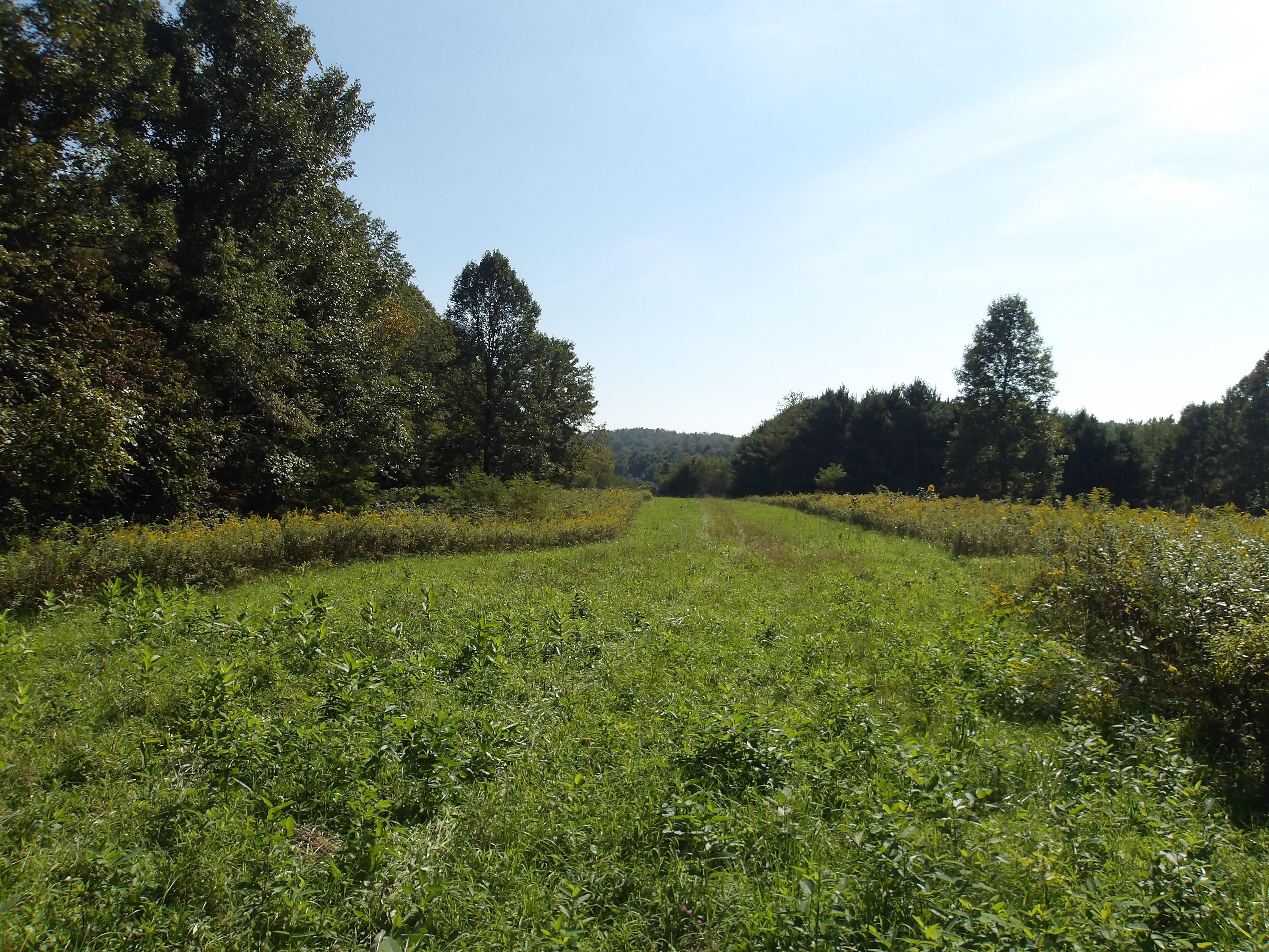 Jacobsburg, Belmont County, OH Recreational Property, Hunting Property ...