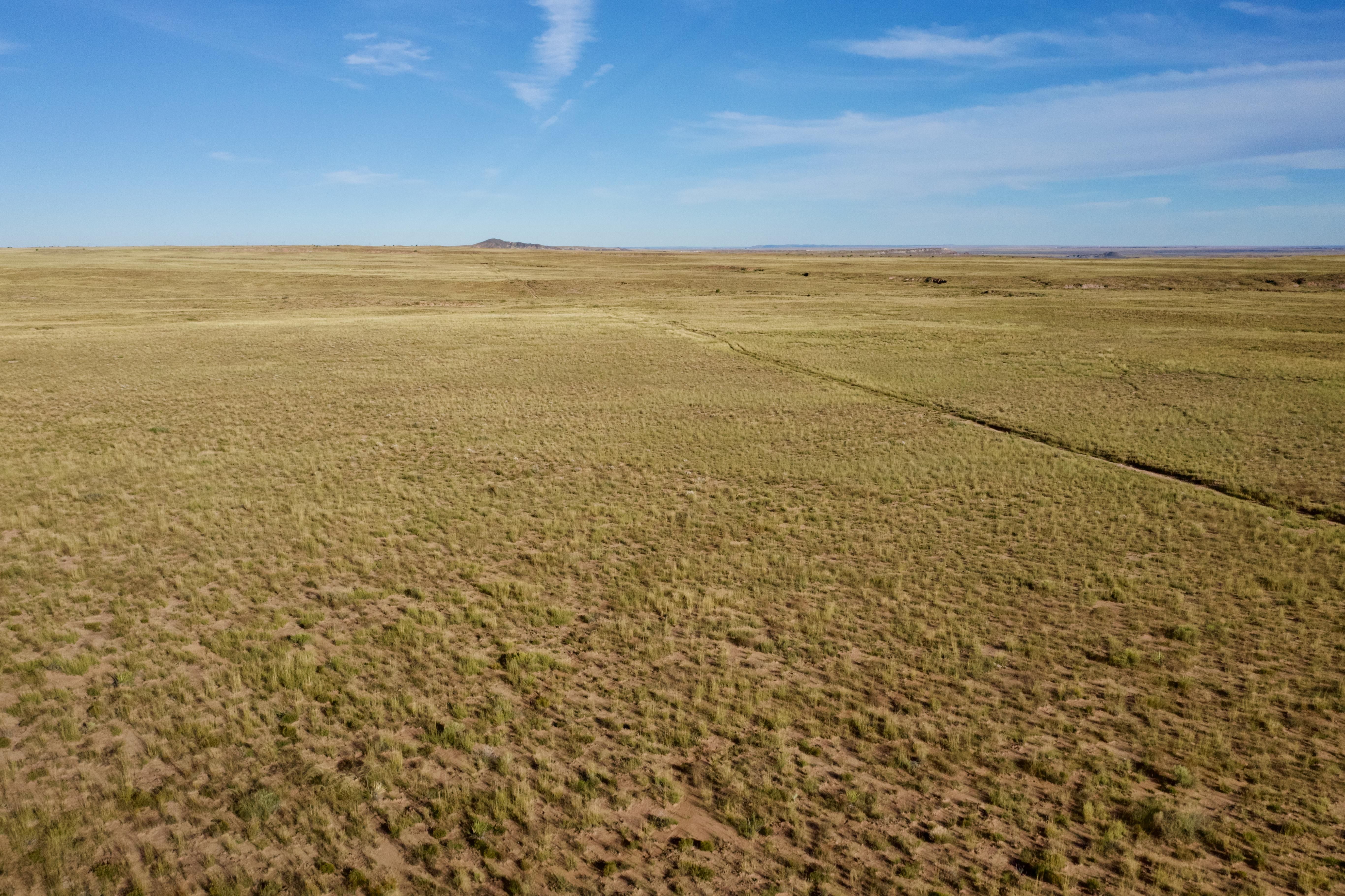 Joseph City, Navajo County, AZ Recreational Property, Undeveloped Land ...