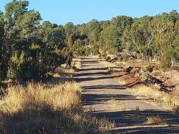 Vernon, Apache County, AZ Recreational Property, Undeveloped Land ...