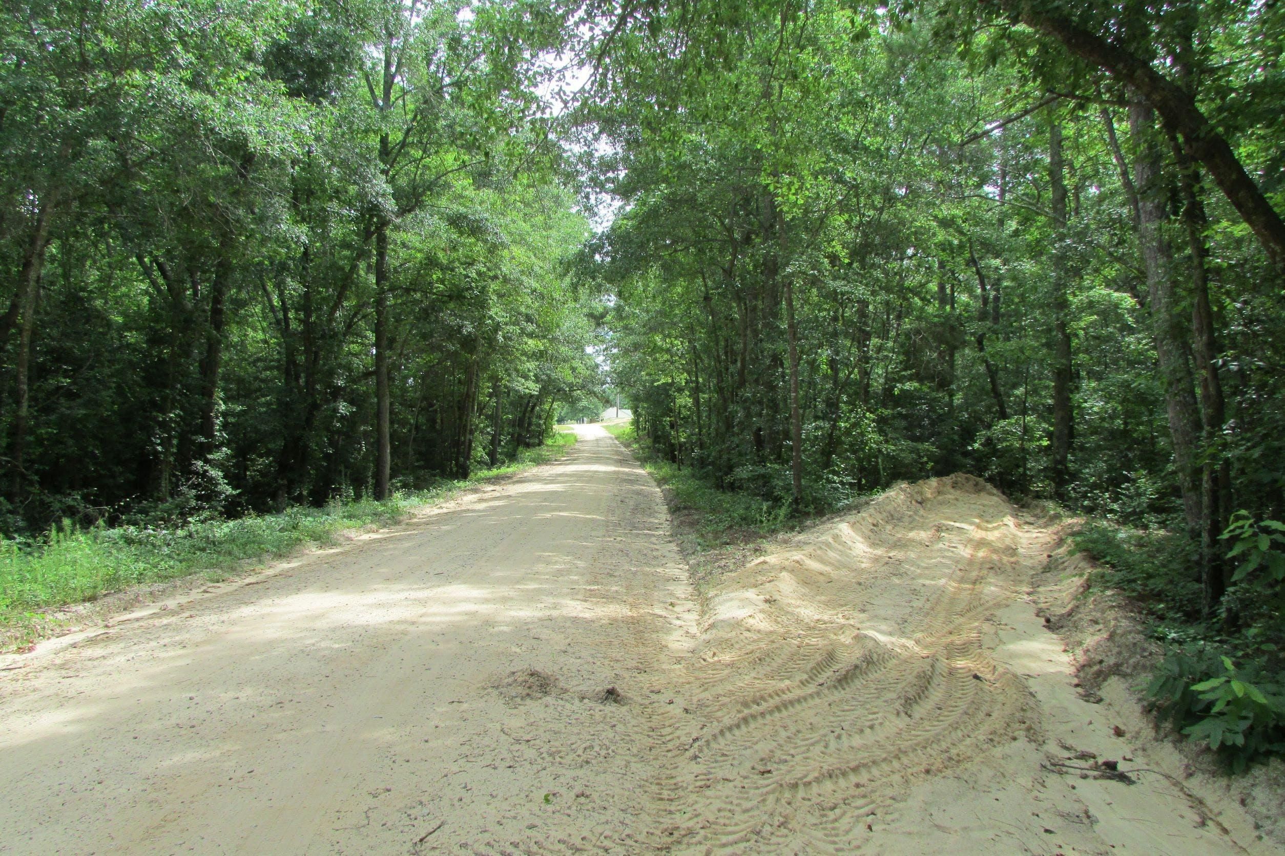 35.94 acres in Ruby, SC, | LandWatch