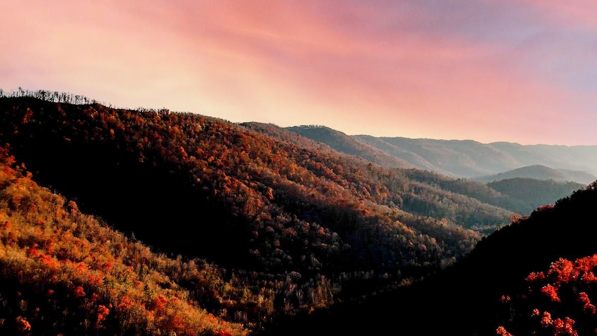 Pioneer, Campbell County, TN Recreational Property, Timberland Property ...