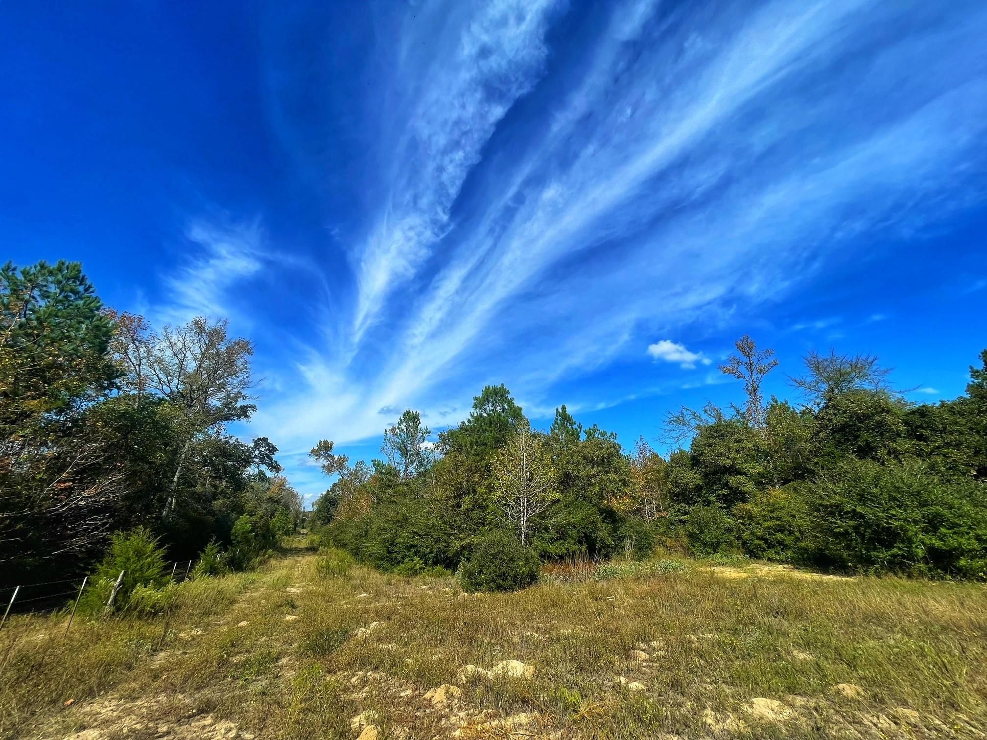 Centerville, Leon County, TX Recreational Property, Hunting Property ...