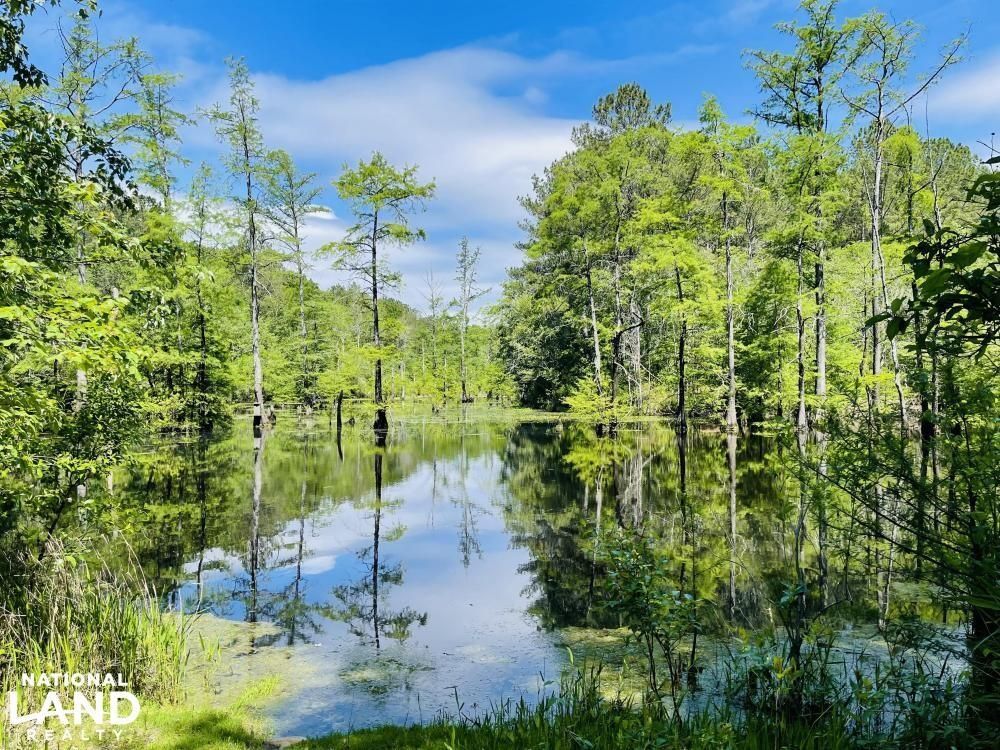 Black River Lane, Harrells, NC 28444 | LandWatch