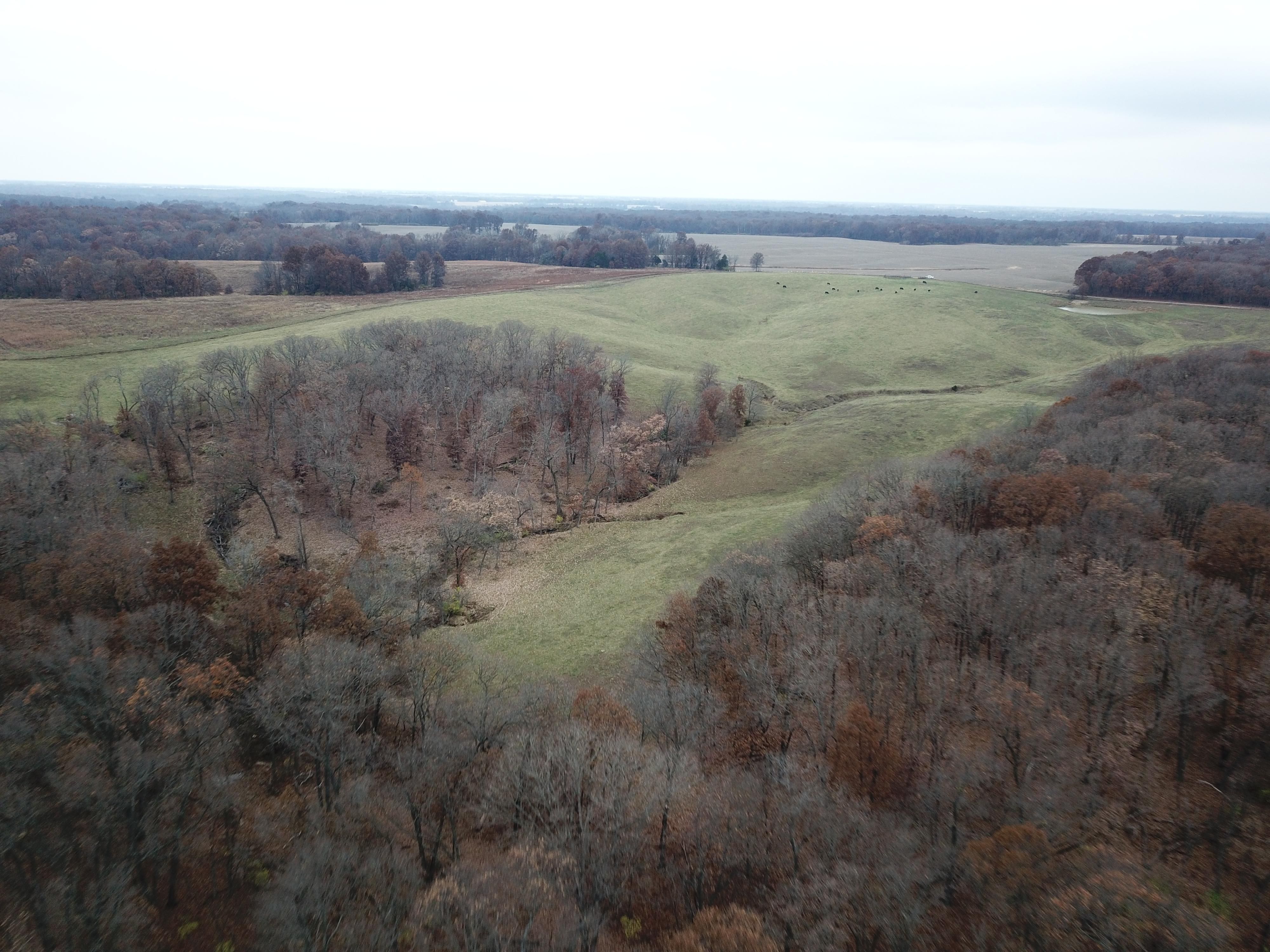52 acres in Leonard, MO, 63451 | LandWatch