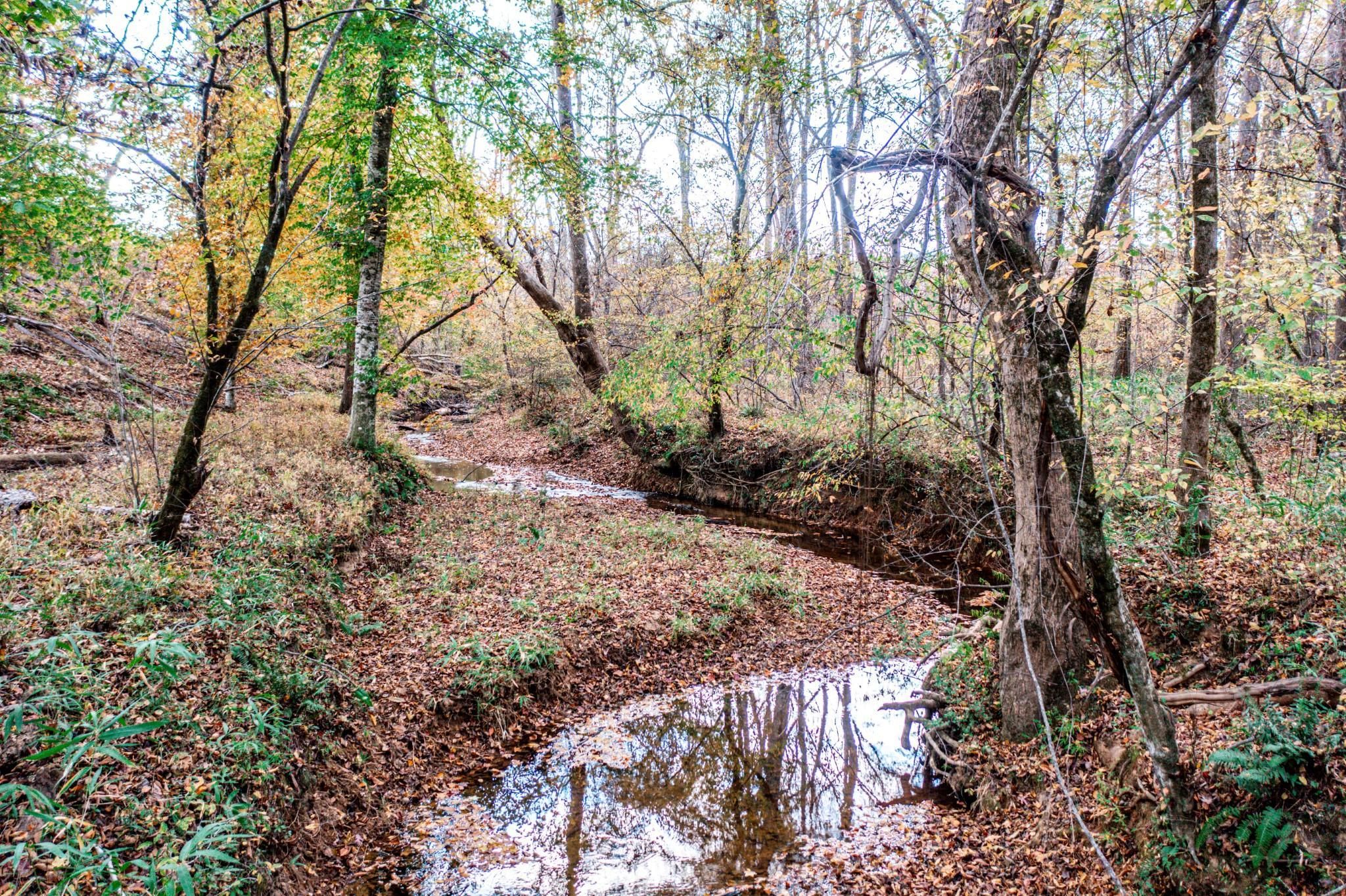 Shady Dale, Jasper County, GA Recreational Property, Hunting Property ...