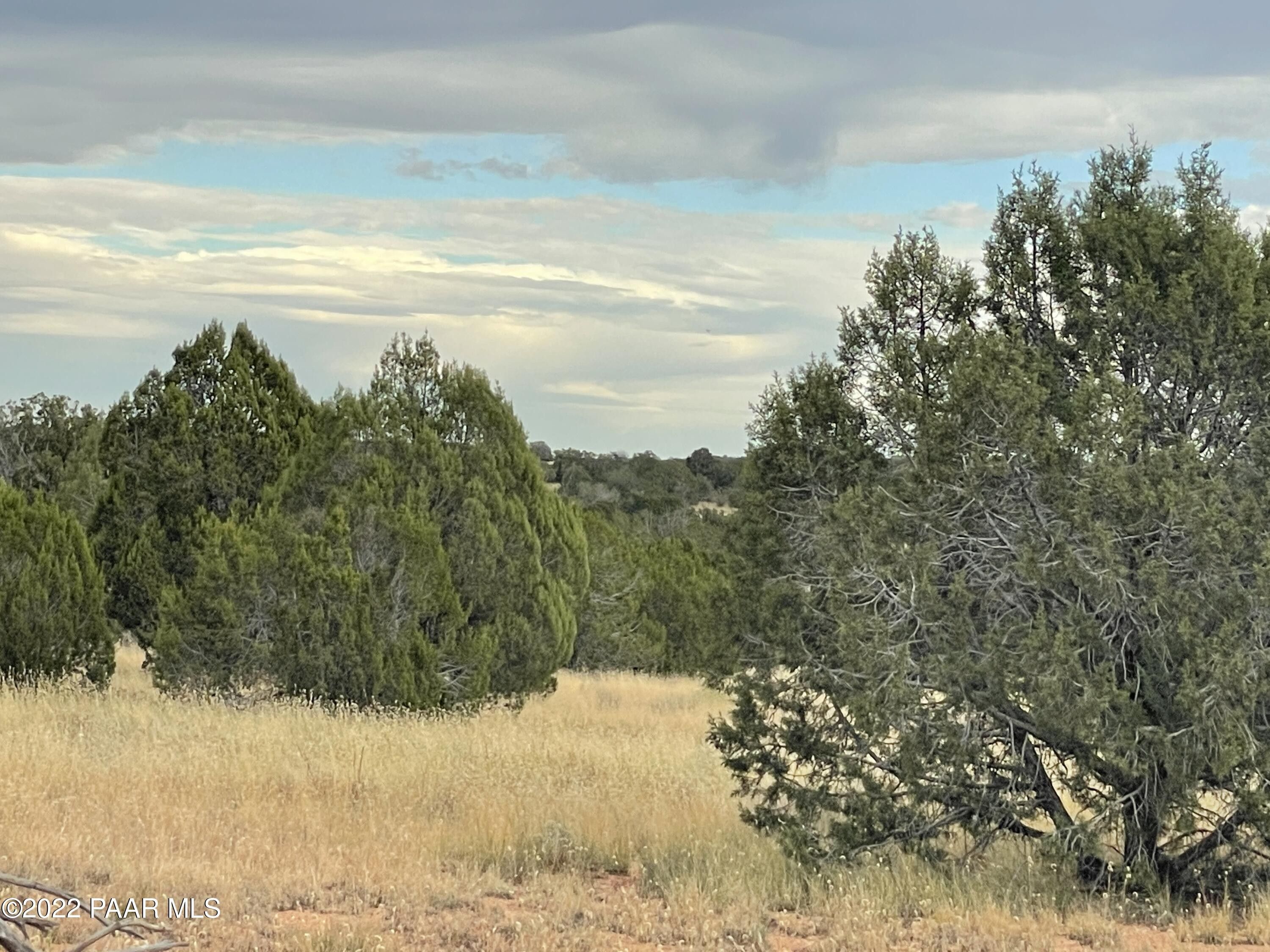 Seligman, Yavapai County, AZ Undeveloped Land for sale Property ID ...