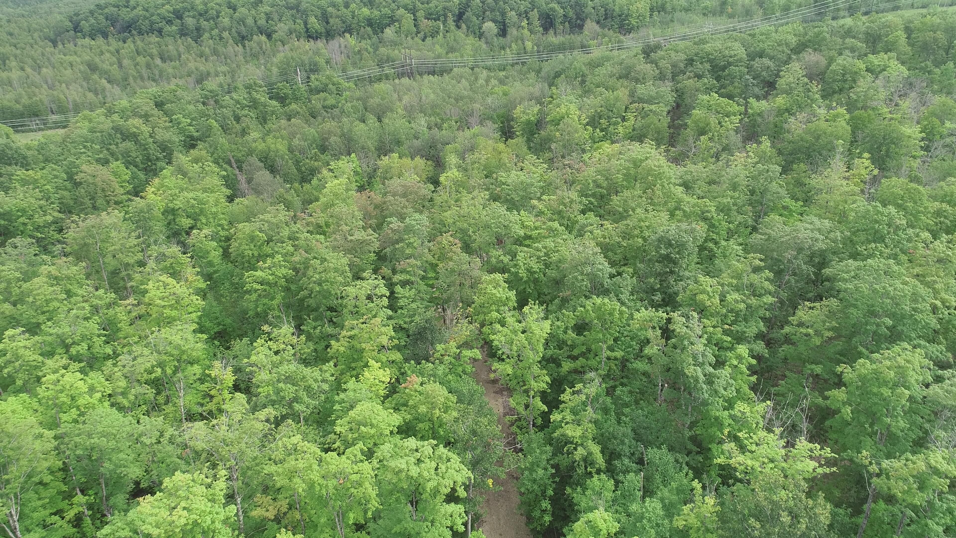 TBD E Fordville Rd, Arnold, MI 49819 | MLS: 50095335 | LandWatch