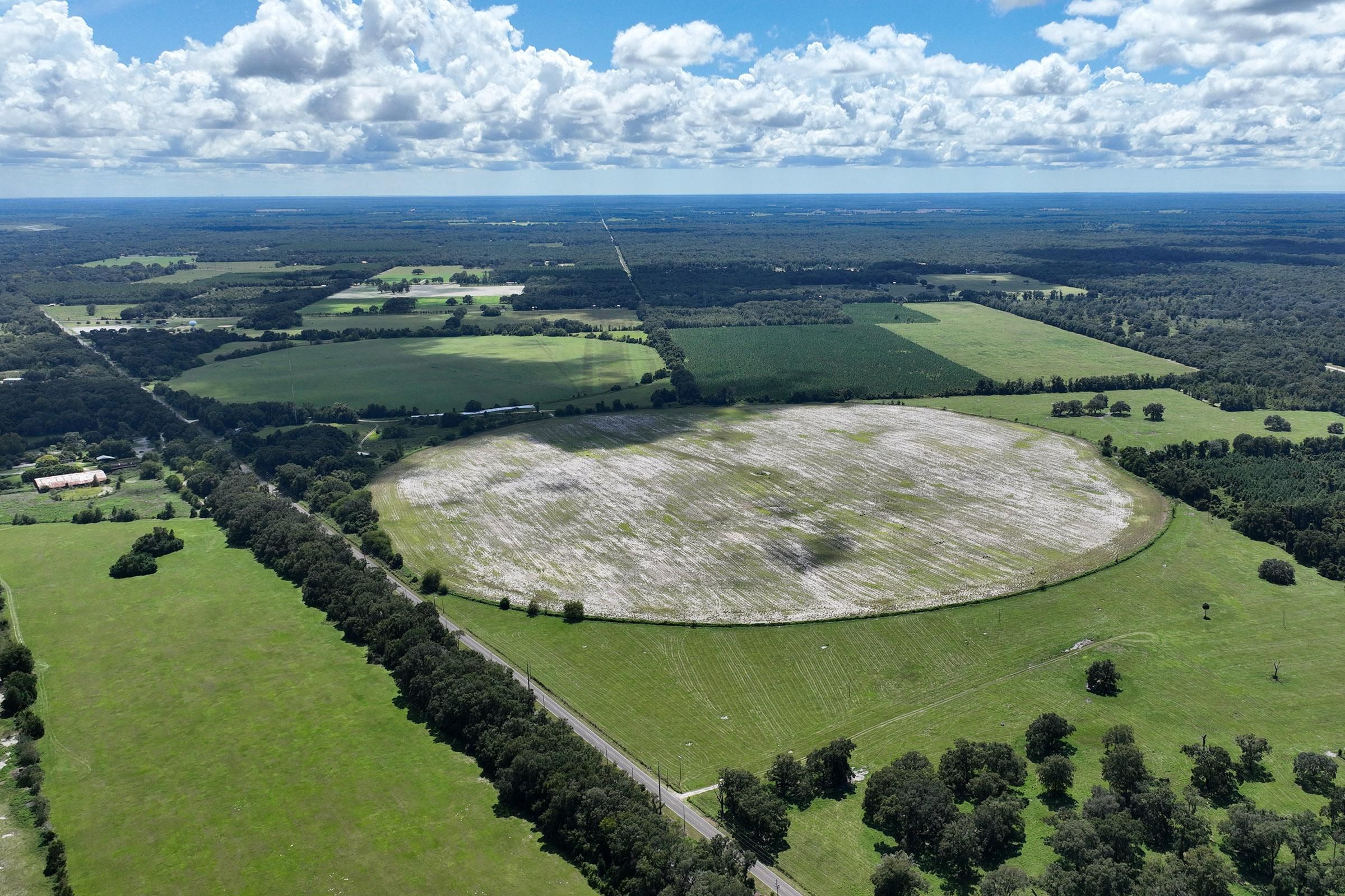 382.2 acres in Chiefland, FL, 32626 | LandWatch
