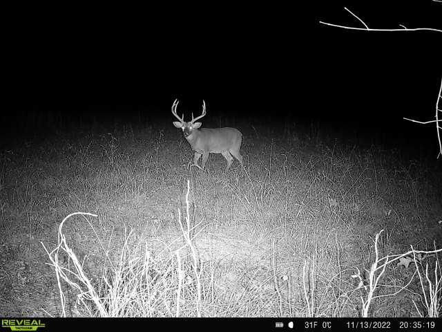 Youngtown, Lawrence County, AL Recreational Property, Timberland ...