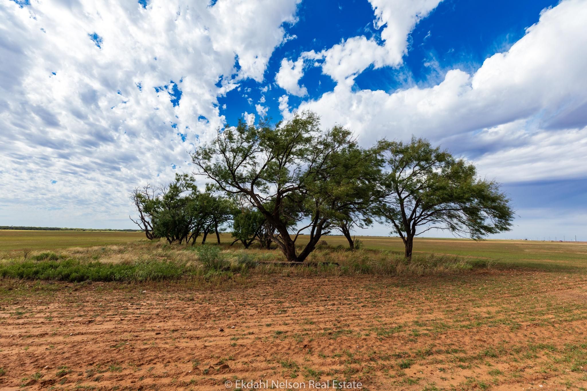 Avoca, Jones County, TX Farms and Ranches, Hunting Property for sale ...