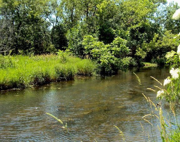 40 acres in Rand, CO, 80473 | LandWatch