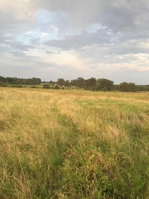 Simms, Bowie County, TX Recreational Property for sale Property ID ...