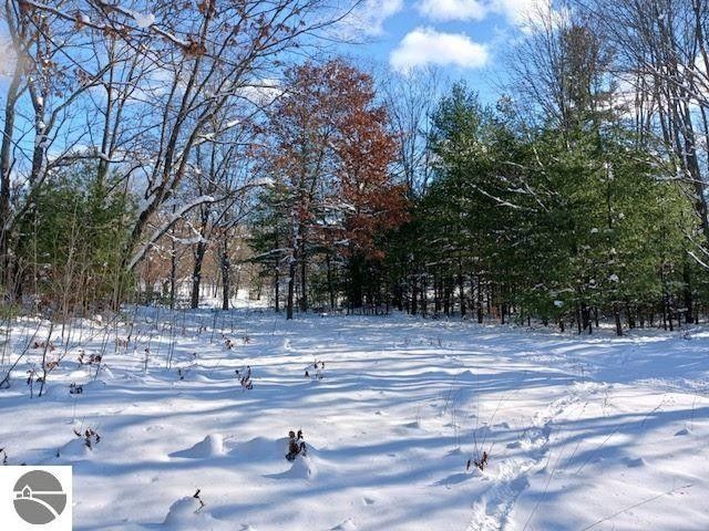 Manton, Wexford County, MI Undeveloped Land, Lakefront Property ...