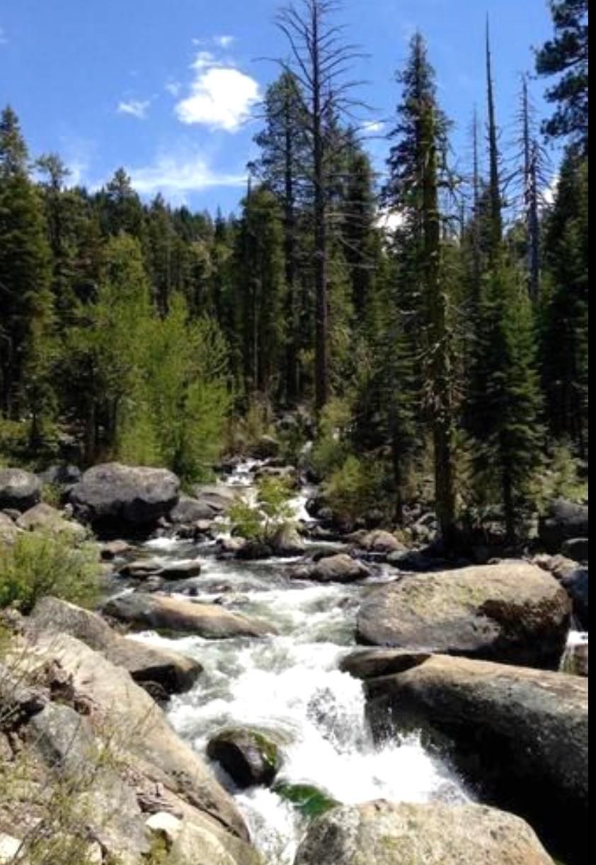 Markleeville, Alpine County, CA Recreational Property, Riverfront ...