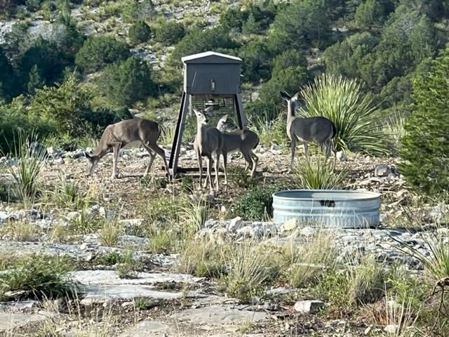 Del Rio, Val Verde County, TX Farms and Ranches, Recreational Property ...