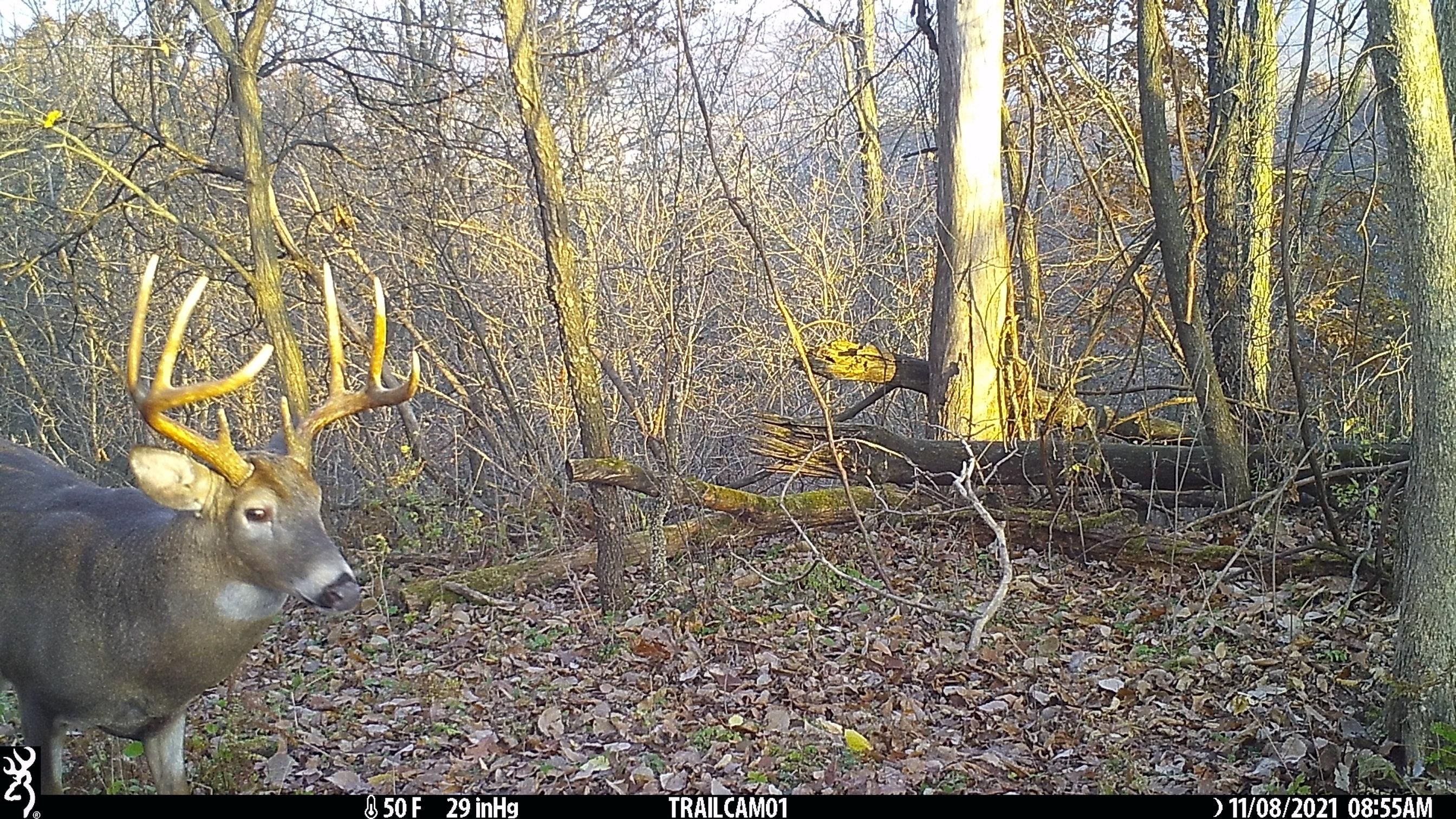 Ettrick, Trempealeau County, WI Recreational Property, Timberland ...
