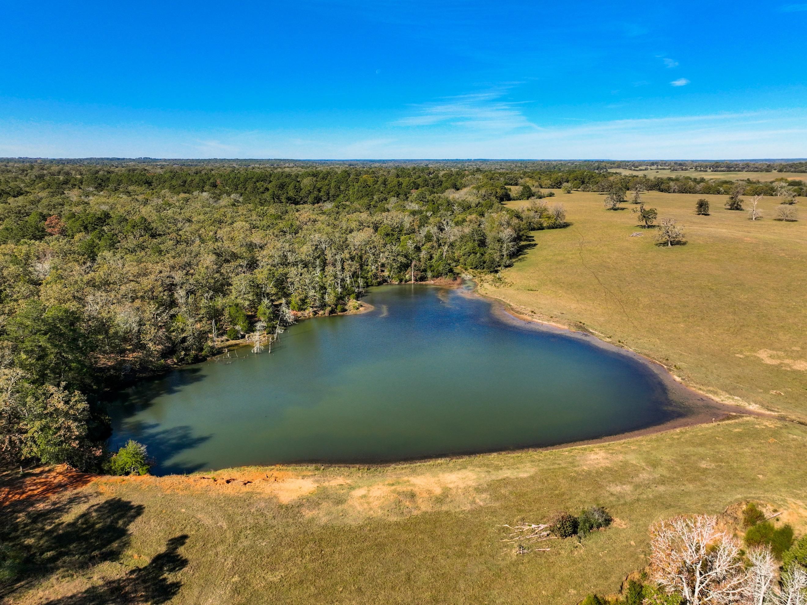11500 County Road 112, Centerville, TX 75833 | LandWatch