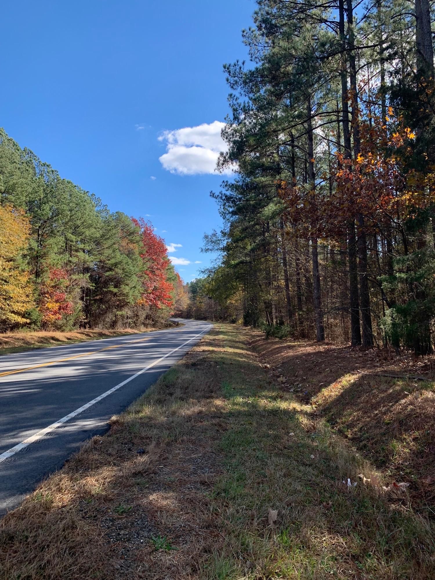 33 acres in Prosperity, SC, 29127 | LandWatch