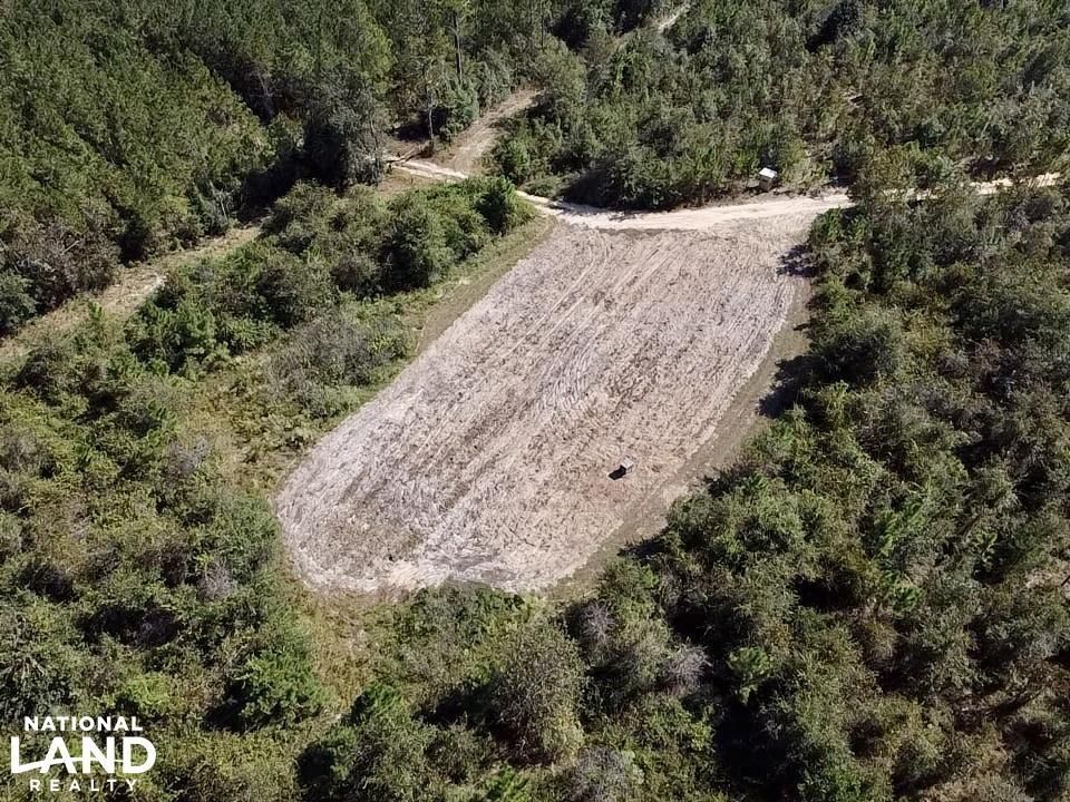 Tibbie, Washington County, AL Recreational Property, Timberland ...