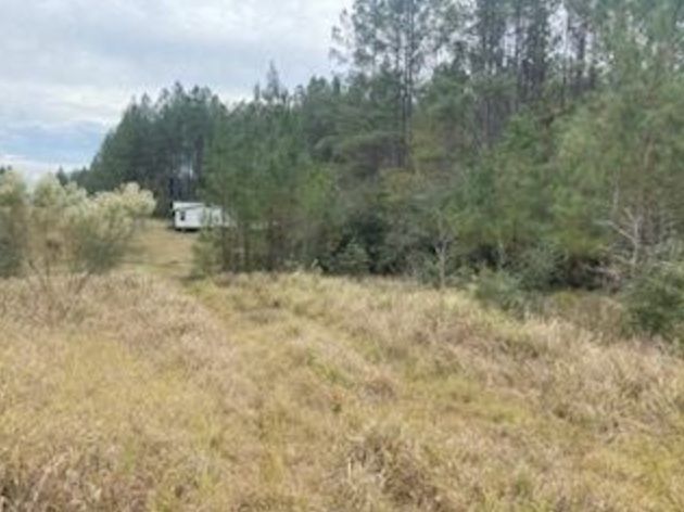 Turnerville Farms Drive, Chunchula, AL 36521 | MLS: Affordable Acreage ...