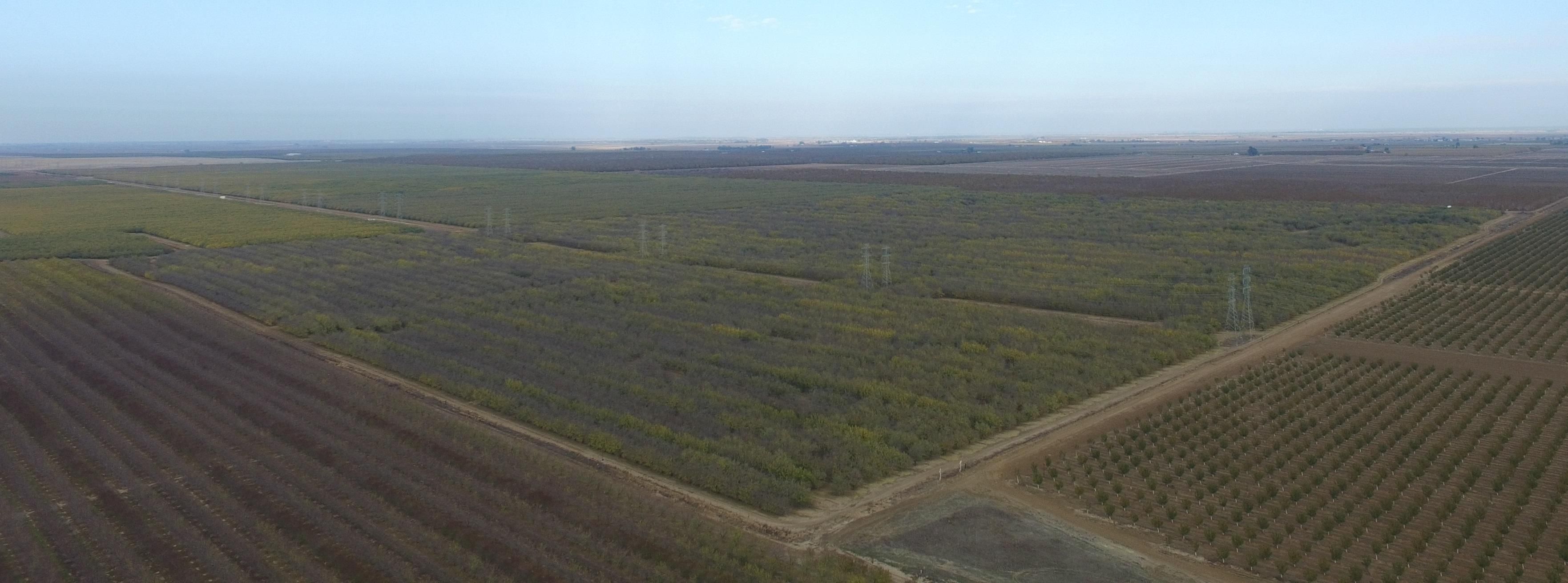 00 Danley Road, Maxwell, CA 95955 | LandWatch