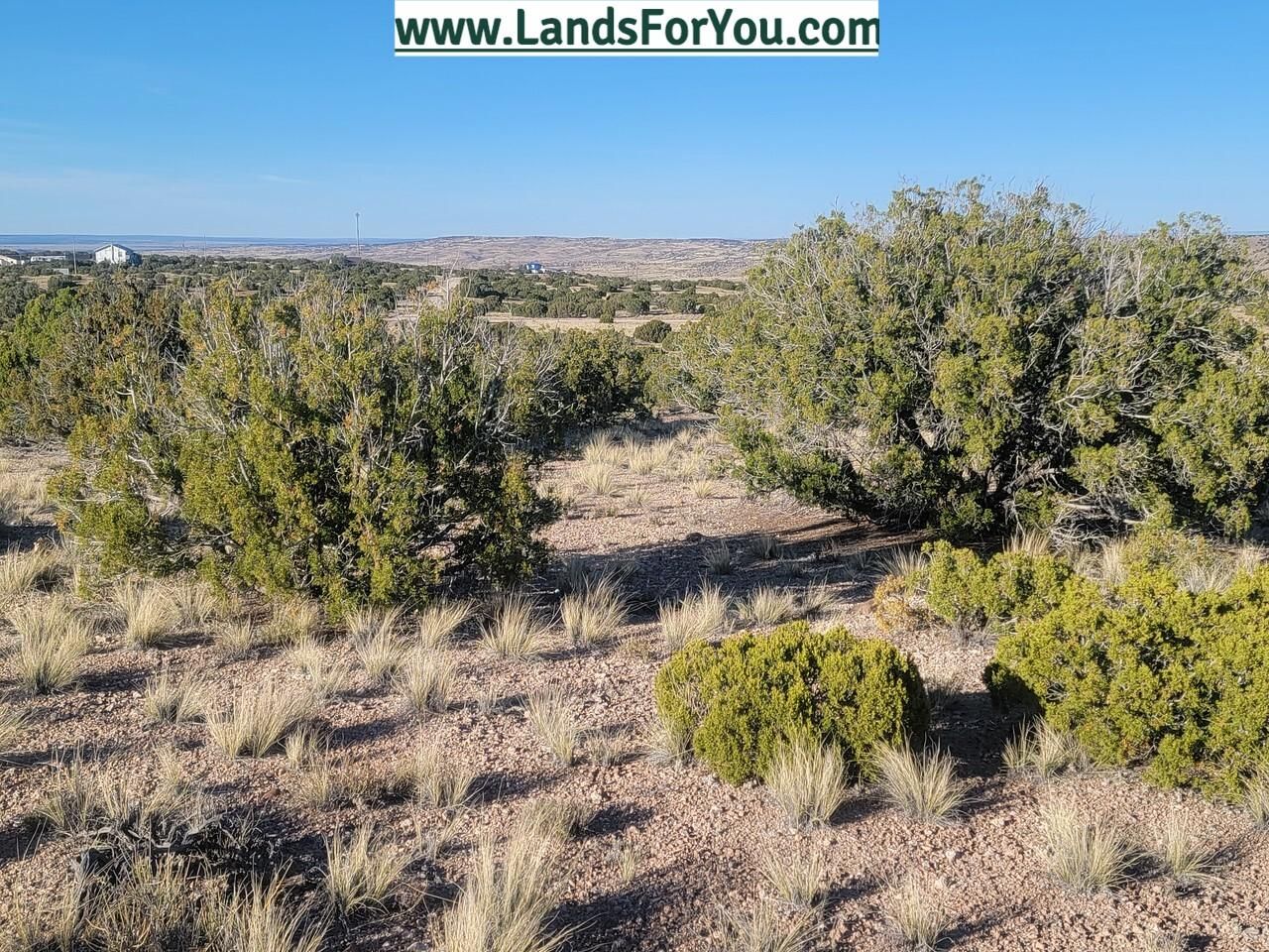 Concho, Apache County, AZ Farms and Ranches, Recreational Property ...