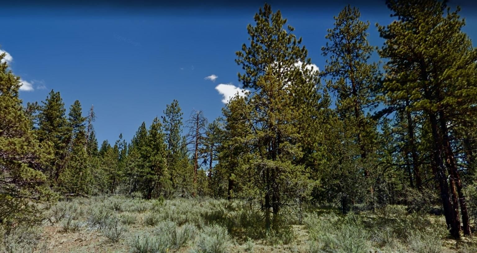 Bonanza, Klamath County, OR Recreational Property, Undeveloped Land ...
