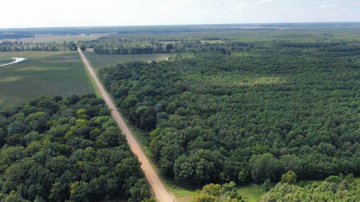 14 Acres, Sharkey County, MS, Jackson, MS 39159 | LandWatch