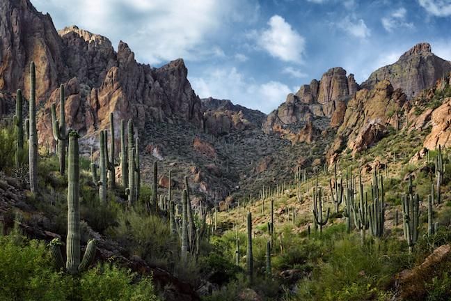 Juniper Canyon Gold&Gem Claim, Tonto Basin, AZ 85553 | LandWatch