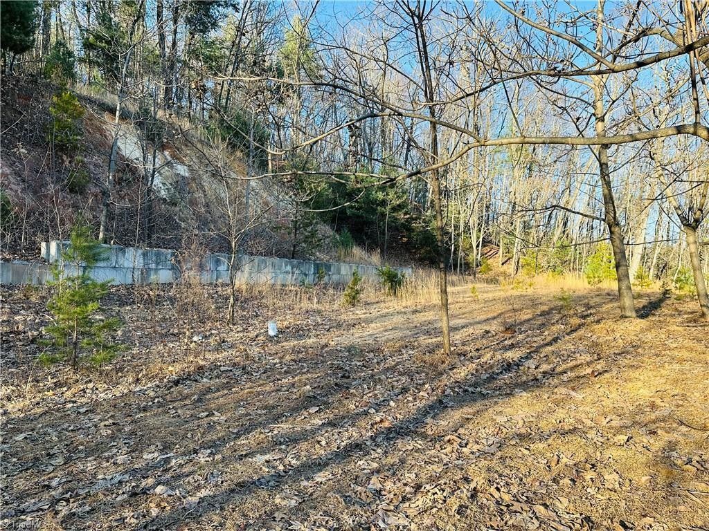 Purlear, Wilkes County, NC Undeveloped Land, Homesites for sale ...