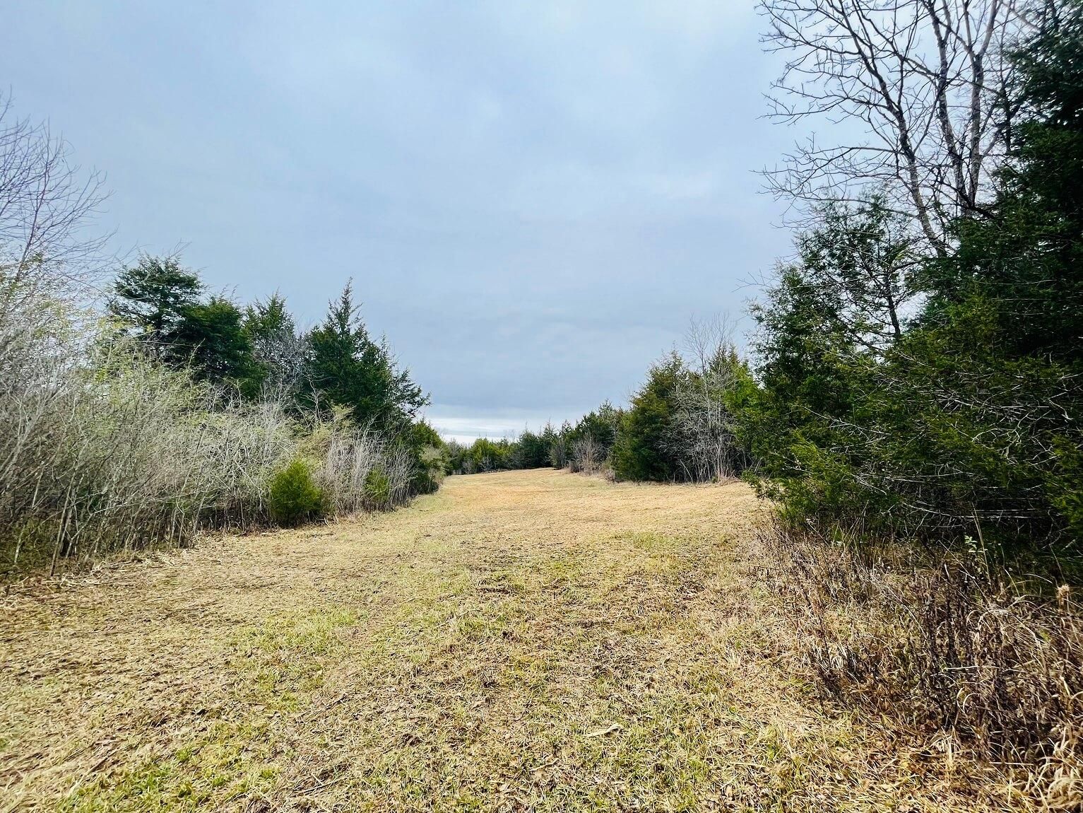 27 acres in Belden, MS, 38826 | MLS: 23-10 | LandWatch