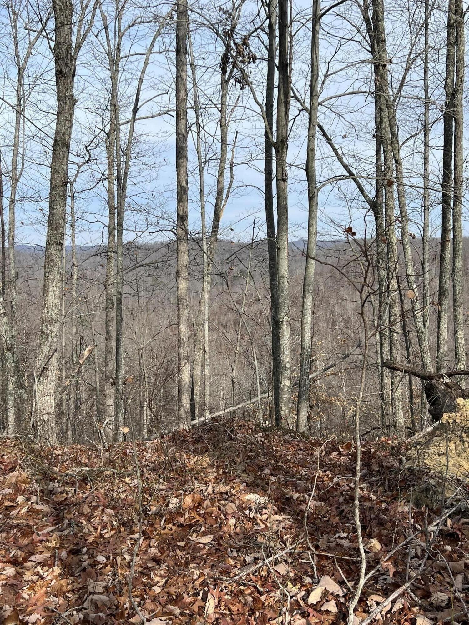 West Liberty, Morgan County, KY Farms and Ranches for sale Property ID ...