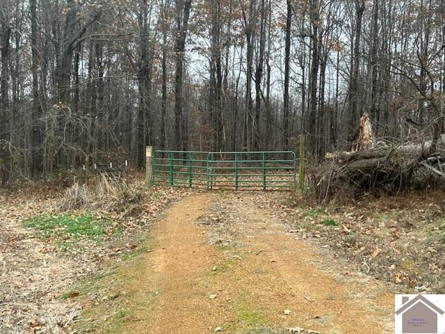 Bardwell, Carlisle County, KY Undeveloped Land for sale Property ID ...