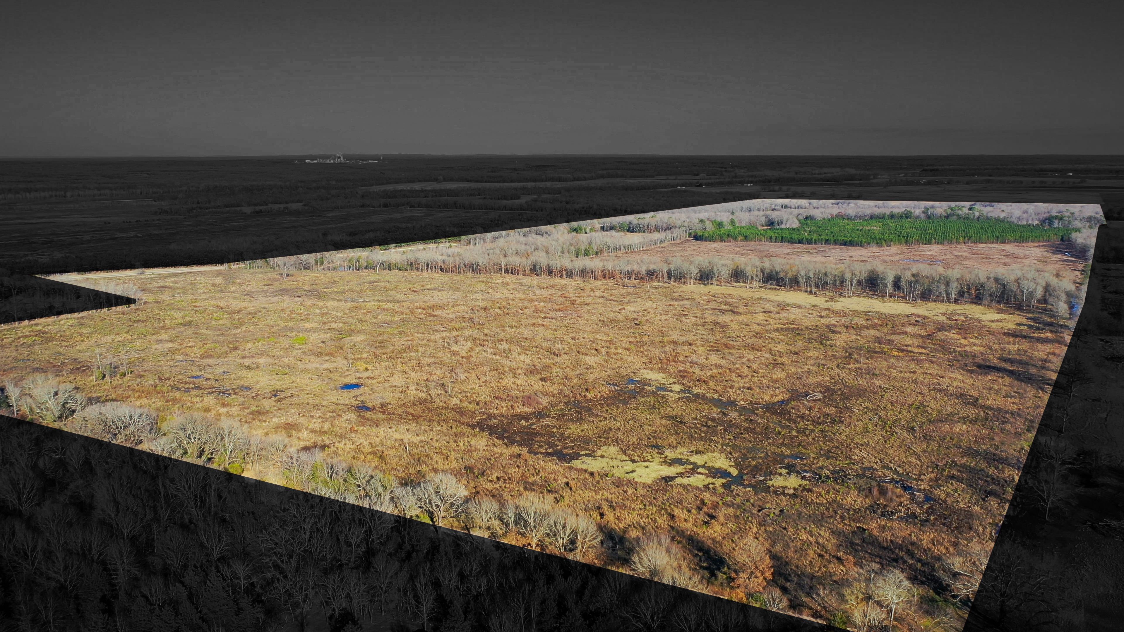 Bagwell, Red River County, TX Recreational Property, Timberland ...