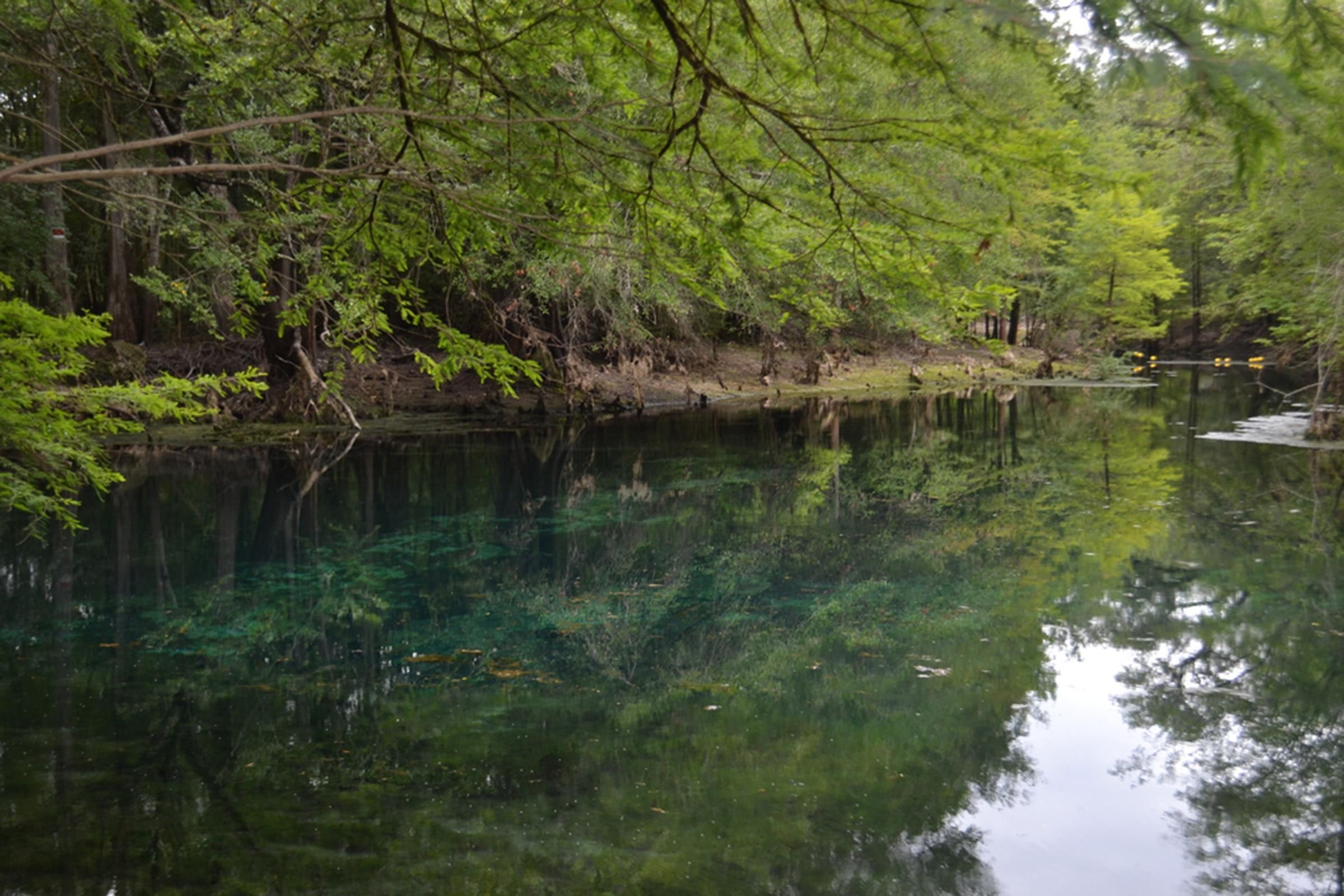 SW 22nd St, Bell, FL 32619 | LandWatch