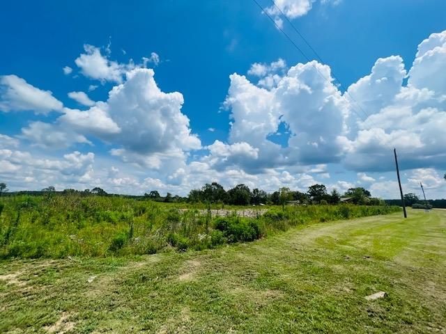 Tylertown, Walthall County, MS Recreational Property, Undeveloped Land ...