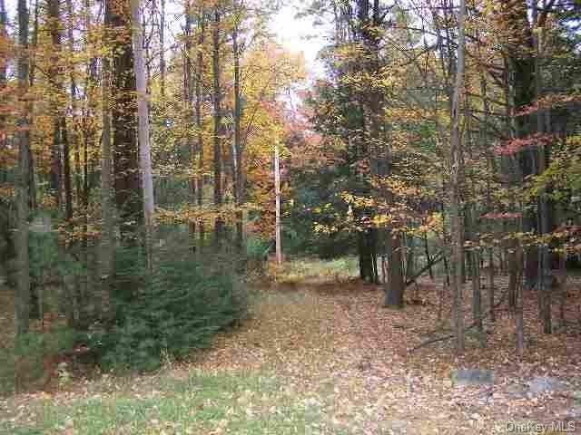 Forestburgh, Sullivan County, NY Undeveloped Land, Lakefront Property ...