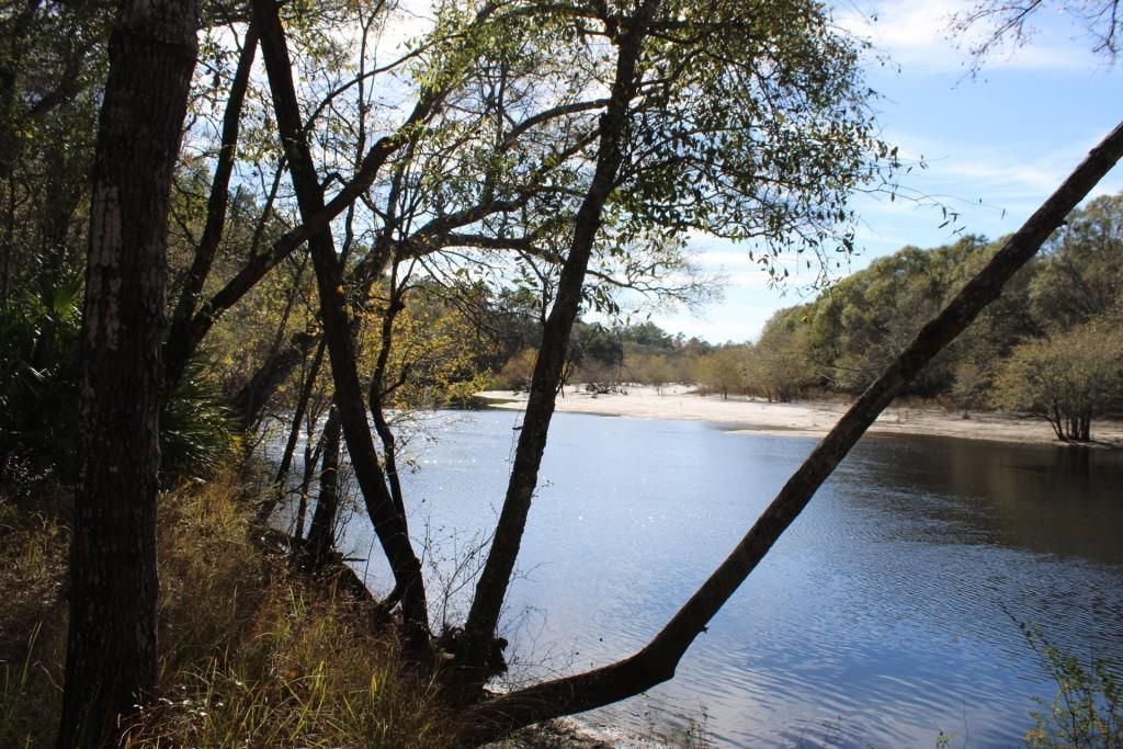 2,116 acres in Waynesville, GA, 31566 | MLS: B436-Brantley Co-GA ...