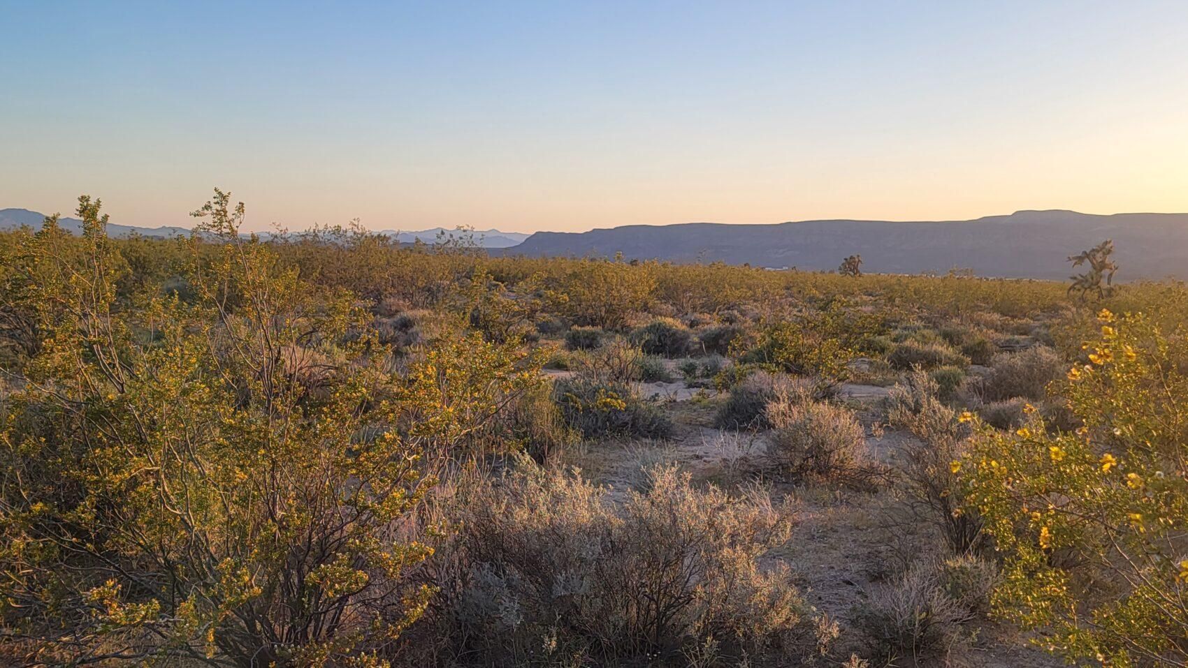 Yucca, Mohave County, AZ Recreational Property, Hunting Property ...