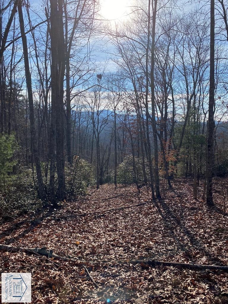 Stuart, Patrick County, VA Undeveloped Land for sale Property ID ...