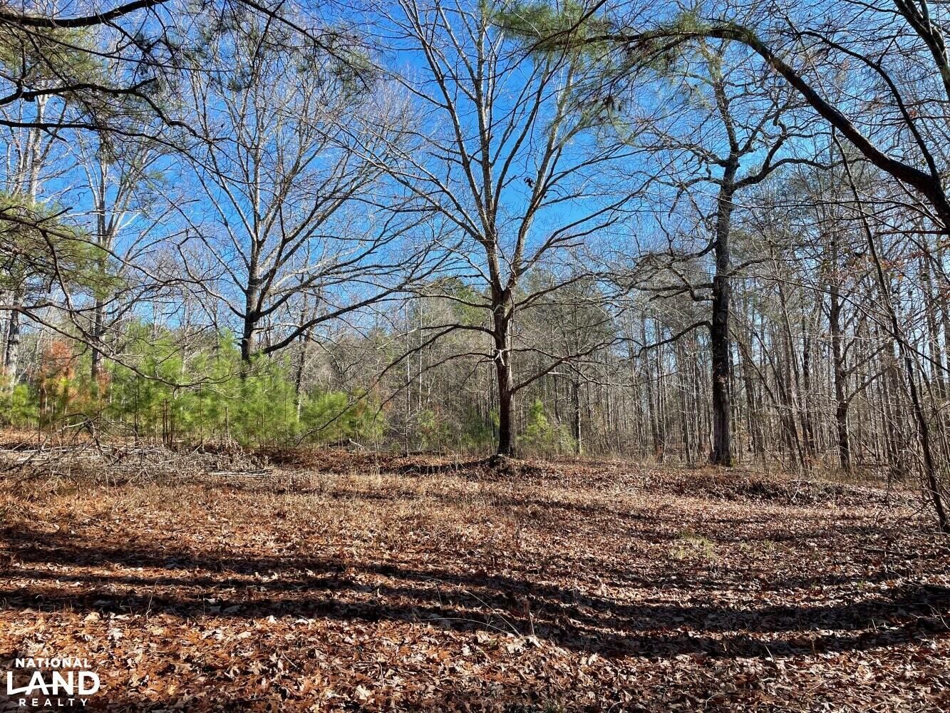 Adger, Jefferson County, AL Recreational Property, Hunting Property for ...