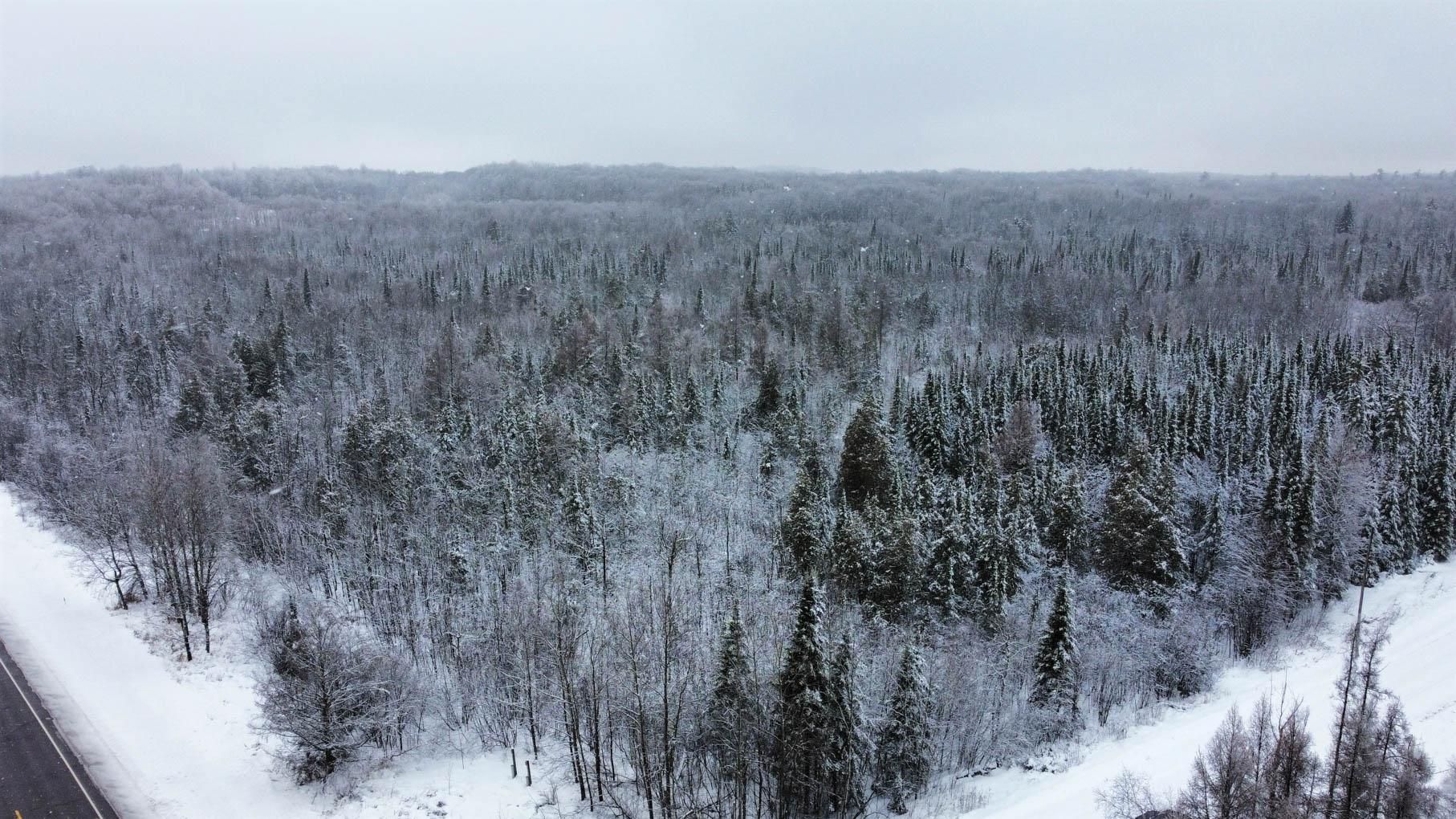 Jacobson Rd, Ogema, WI 54459 | LandWatch