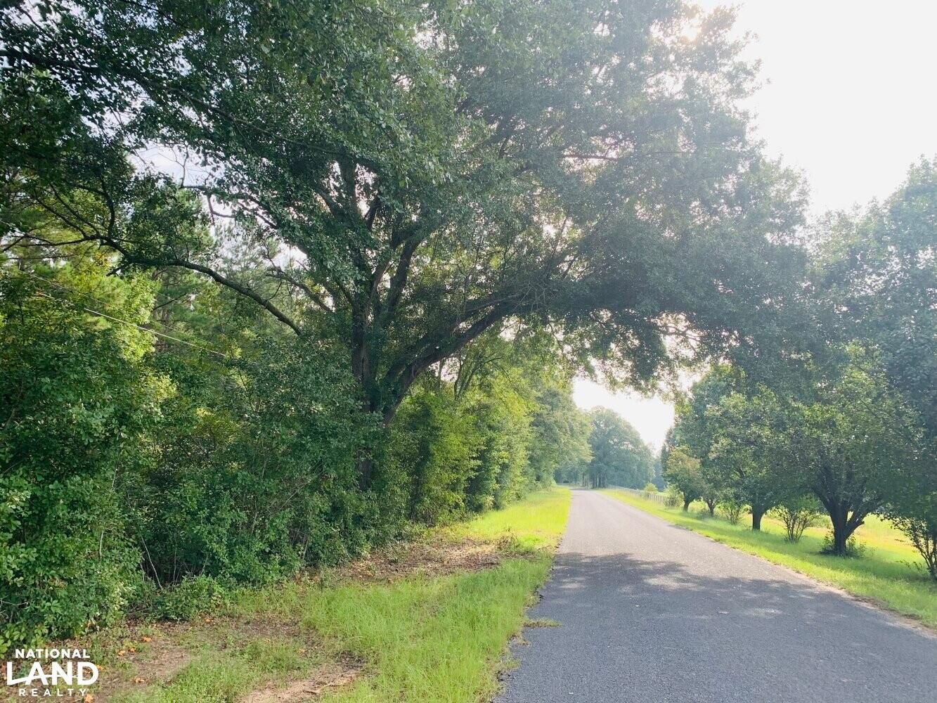 Wagener, Aiken County, SC Recreational Property, Timberland Property ...