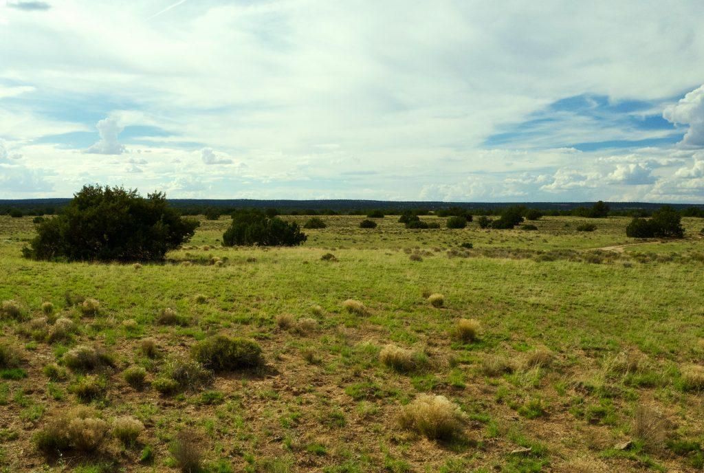 Saint Johns, Apache County, AZ Recreational Property, Undeveloped Land ...