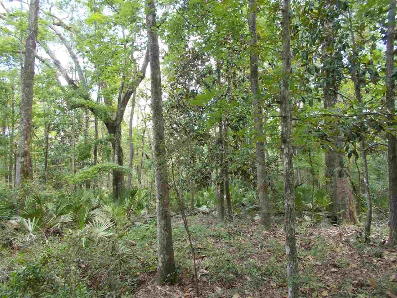 Sopchoppy, Wakulla County, FL Farms and Ranches, Lakefront Property ...