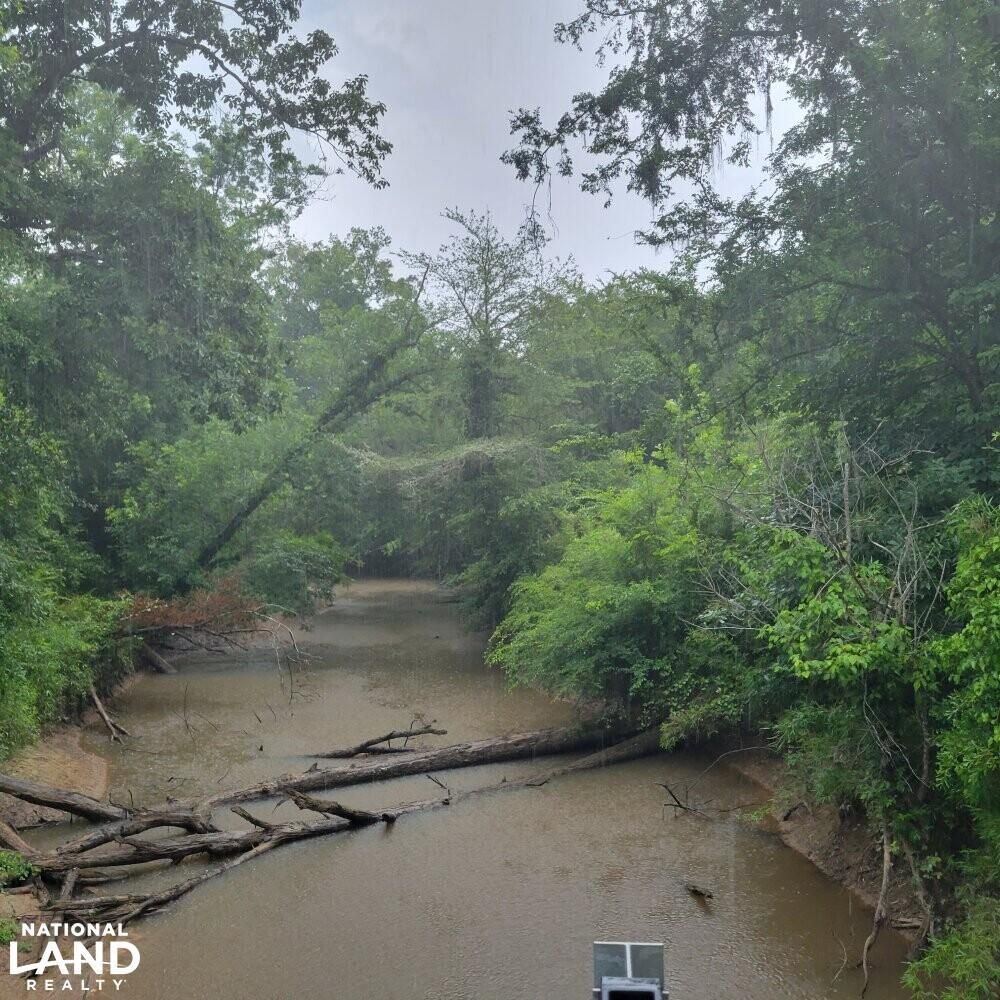 Josie, Alabama, Josie, AL 36005 | LandWatch