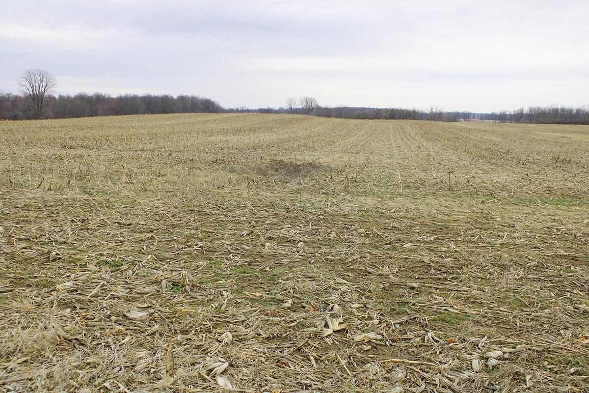 South Vienna, Clark County, OH Farms and Ranches, House for auction ...