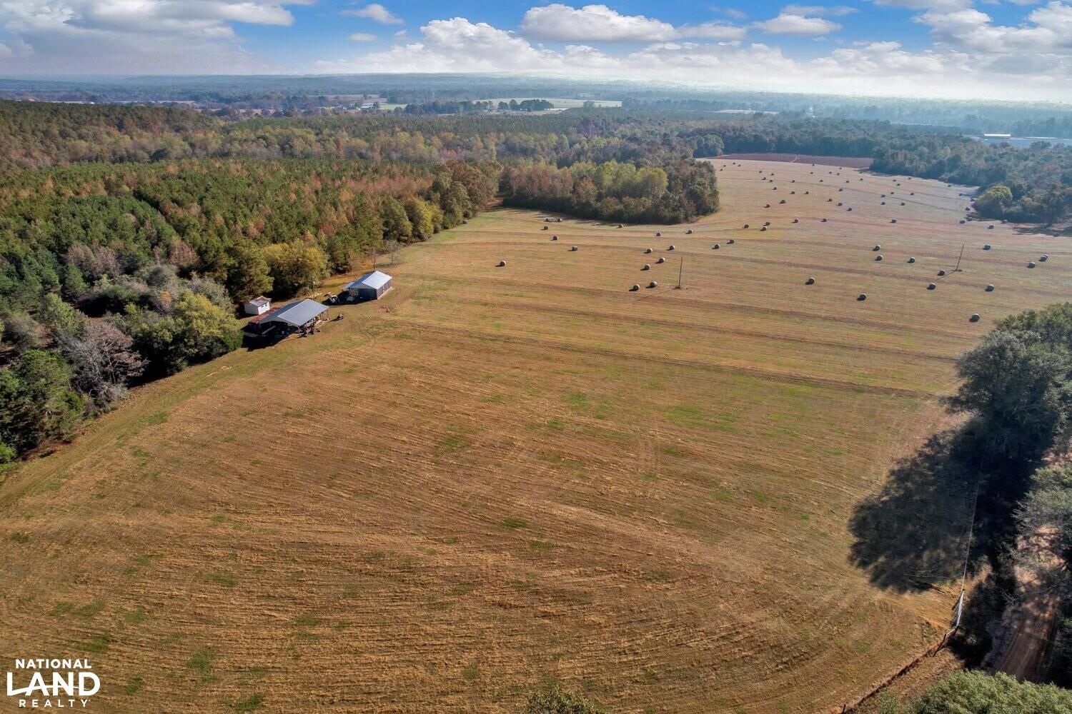 Banks, Pike County, AL Recreational Property, Timberland Property for ...