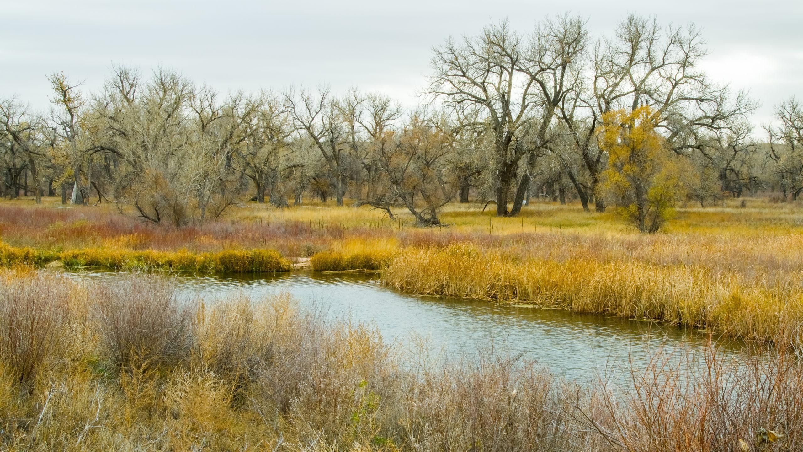 3433 CO ROAD 5, Weldona, CO 80653 | LandWatch