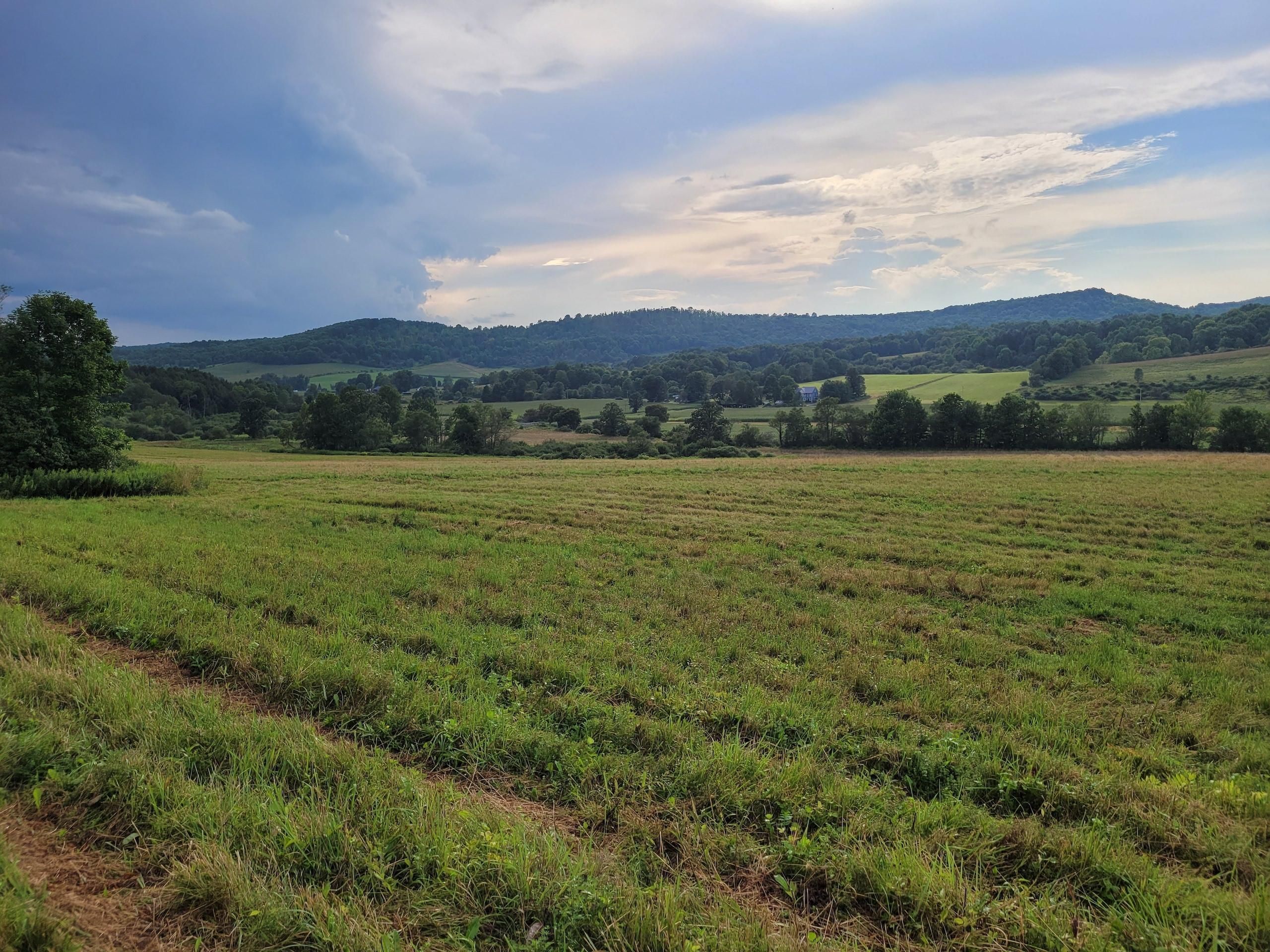 Buell Road, Lot#WP001, West Exeter, NY 13315 | LandWatch